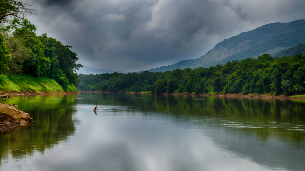 Enriching Journeys | Blog | Thattekad Bird Sanctuary: Paradise for Bird ...